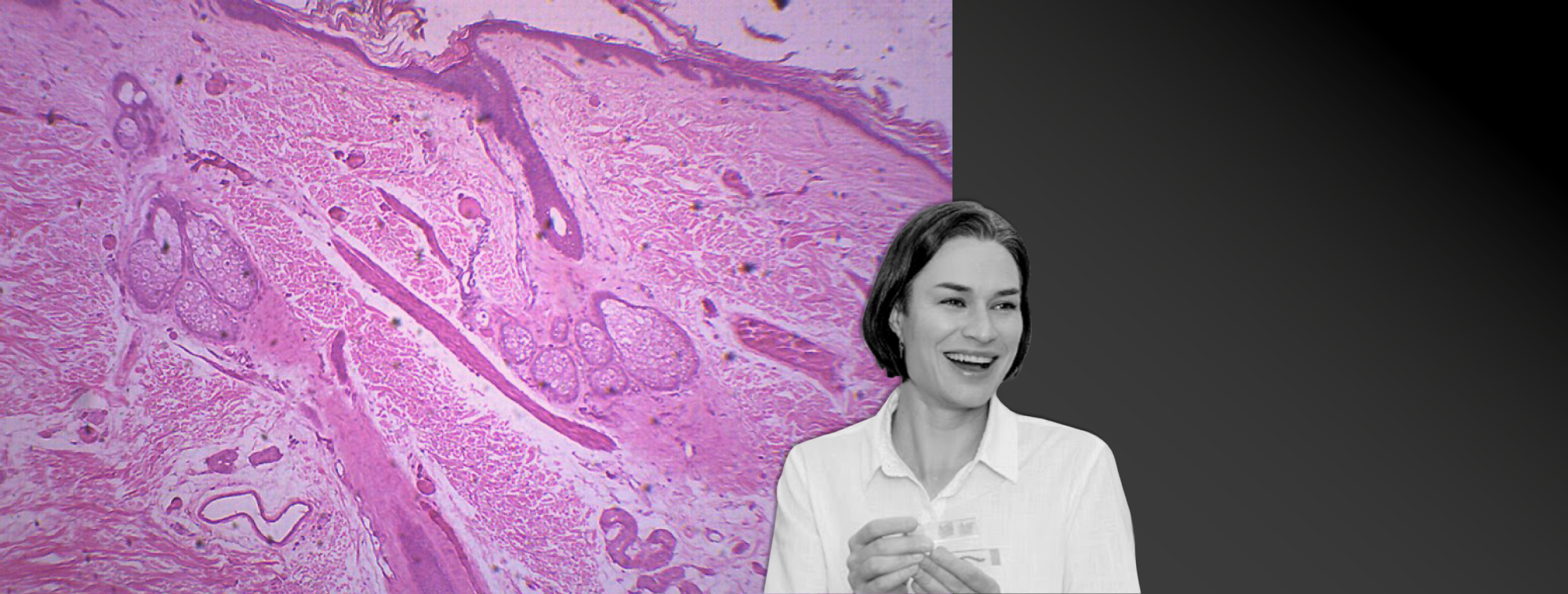 Pathology 101 for Tissue Image Analysis - LabVine