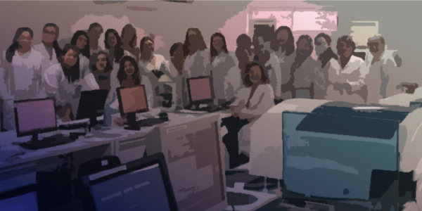 Explore lab management, quality and transformation courses